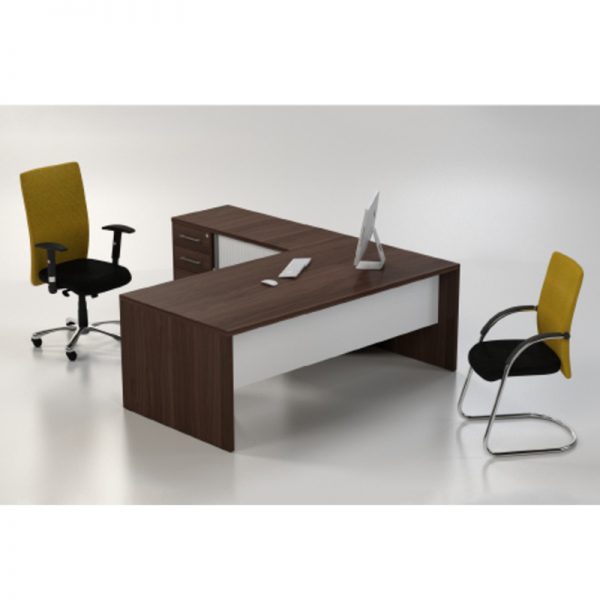 Panel Executive Desk - Ixaxa Office Furniture